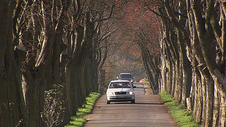 Allé bliver dobbeltrettet | TV2 Østjylland Allé bliver dobbeltrettet | TV2 Østjylland